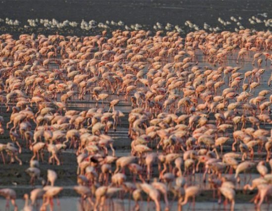 10 Annual Top Special Events in Mumbai - Fests, Festivals and Activities