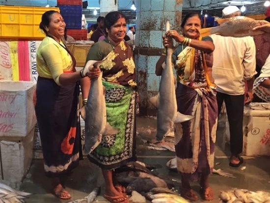 Top 10 Fish Markets In Mumbai For Fresh Fish and Seafood