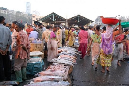 Top 10 Fish Markets In Mumbai For Fresh Fish and Seafood