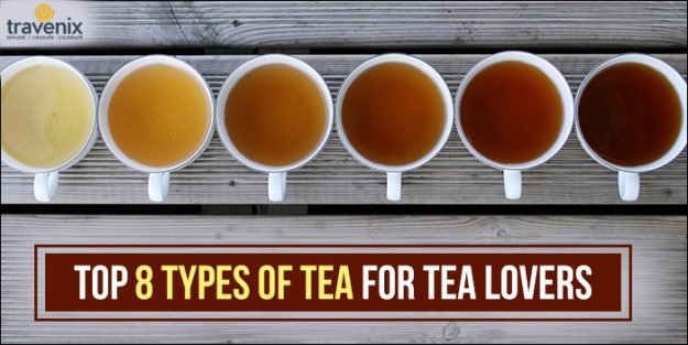 8 Best Tea Types That All Tea Lovers Must Know