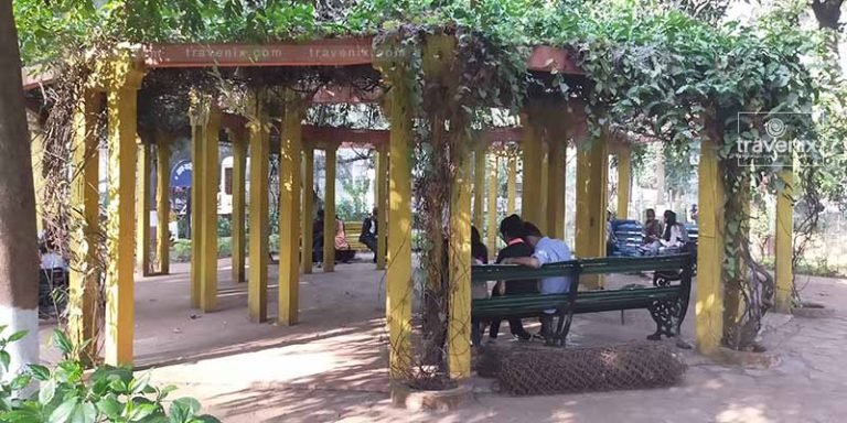 7 Things You Must Do When Visiting Matunga