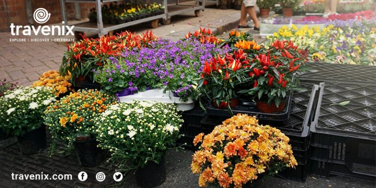 5 Best Flower Markets in Hyderabad - Travenix